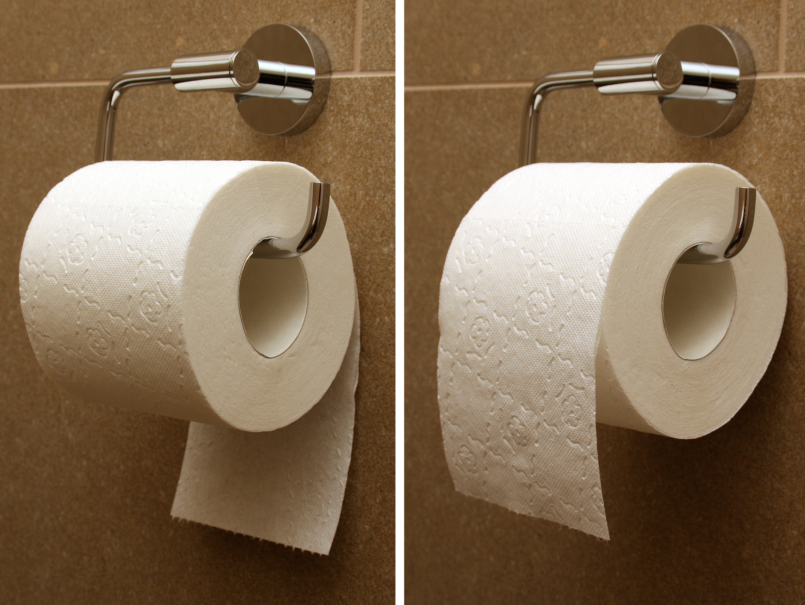 The Story Of Toilet Paper Interesting Thing Of The Day